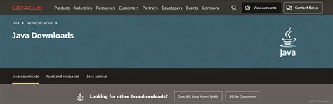 java jdk17下载以及环境配置的方法 java17下载 csdn博客