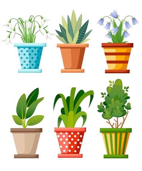 Plantas en macetas de jardín paisajístico interior y exterior conjunto