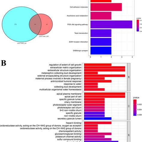 Functional And Pathway Enrichment Analysis A Venn Plot Showing The