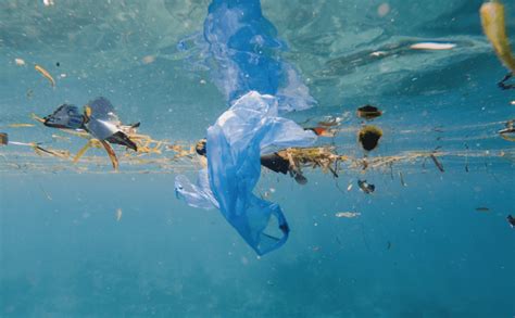 Estos Son Los Principales Contaminantes Del Agua Rotoplas Mx