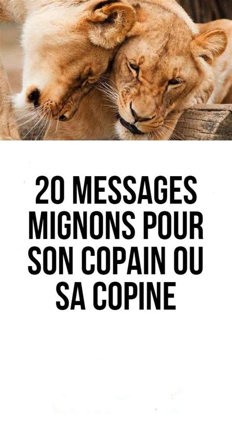 Two Lions Cuddle Together With The Caption 20 Messages Mignons Pour Son