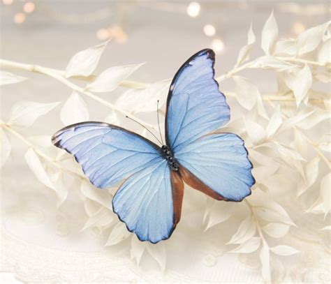 Pin By Bug S Creation By Andrea Smith On Widget Purple 2 Blue