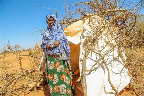 Cuerno De Frica Al Borde Del Abismo Por La Sequ A Eacnur