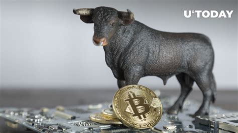 Bitcoin BTC Now In Bull Phase Here S Why CryptoQuant CEO