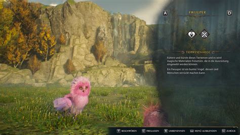 Hogwarts Legacy Alle Tierwesen ihr im Raum der Wünsche pflegen könnt