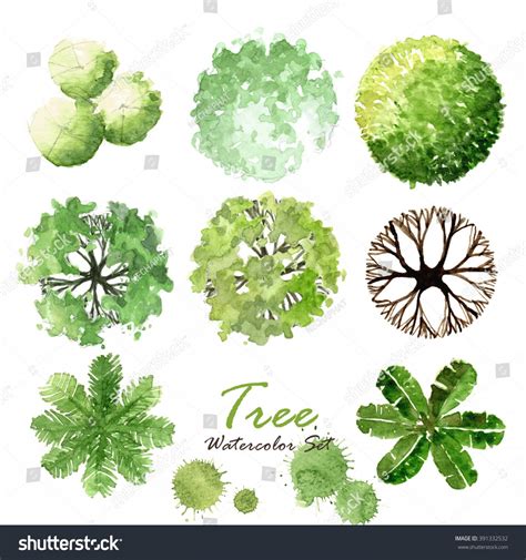 Top View Tree Vector At Vectorified Collection Of Top View Tree