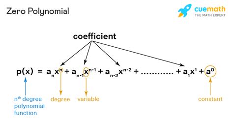 zero polynomial definition degree and zero of zero polynomial examples