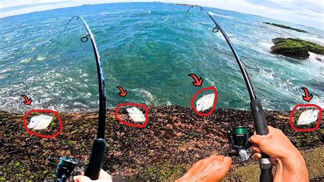 AQUI VOCÊ VAI ARRUMAR UMA ENCRENCA PARA SUA VIDA Era Peixe Para TODO