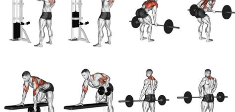 16 Melhores Exercícios para Costas Largas e Volumosas