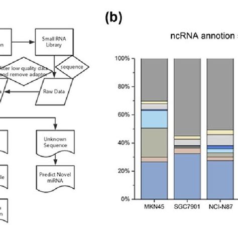 overview of sequence and bioinformatics analysis and exhibition of download scientific diagram