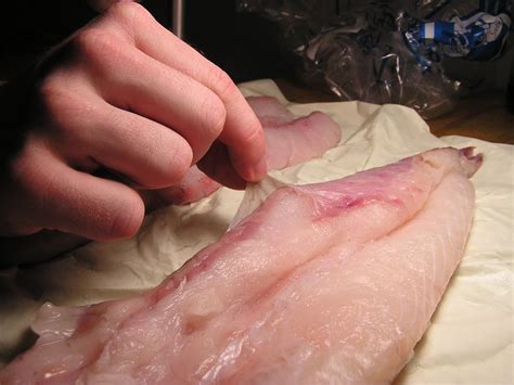 Monkfish Membrane Atelier Yuwa Ciao Jp