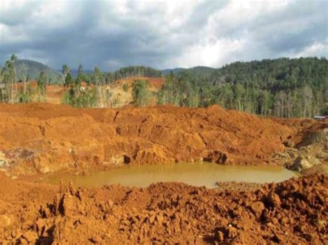 Lingkungan Halmahera Tengah Terus Tergerus Industri Nikel Mongabay Co Id