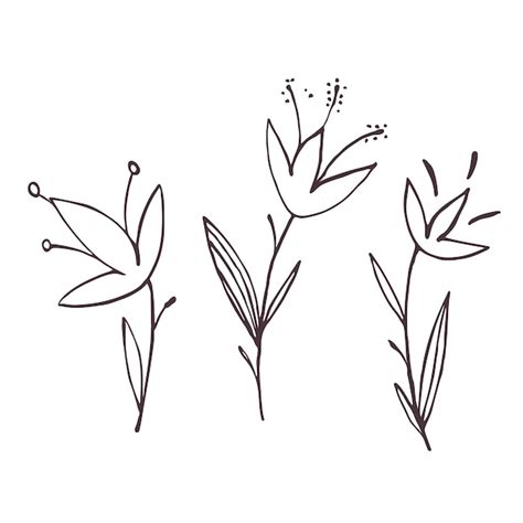 Premium Vector Hand Drawn Flower And Branches Doodle Vector Illustration
