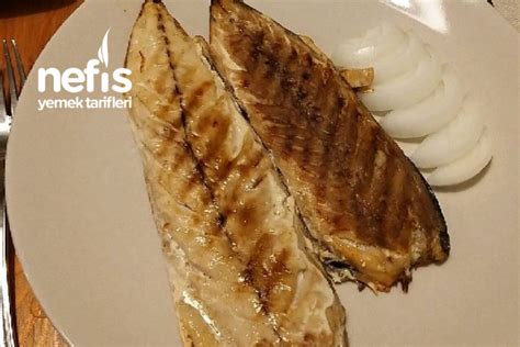 sınır Ernest Shackleton dumanlı sis fırında uskumru fileto tarifi