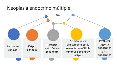 SOLUTION Clase 15 Neoplasia Endocrina M Ltiple Studypool