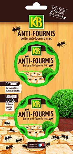 Comparatif Des Meilleures Solutions Contre Les Fourmis En Juillet 2022
