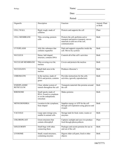 Cells And Organelles Worksheet