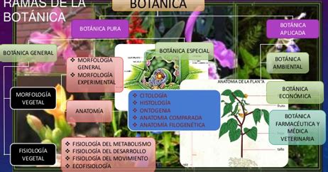 Nica Y Fisiolog A Vegetal Mundo Agropecuario
