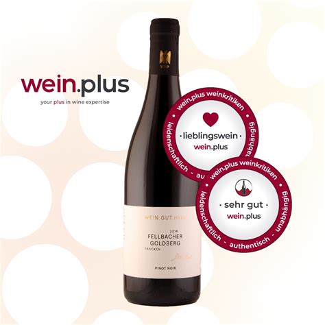 2019 Fellbach Goldberg Pinot Noir VDP Erste Lage Trocken Von Weingut