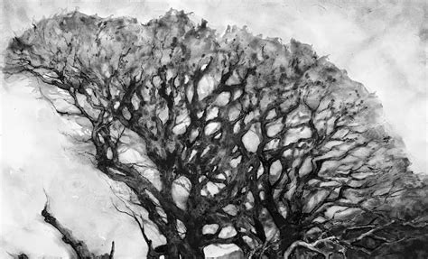 How To Draw A Landscape In Charcoal Artists Illustrators