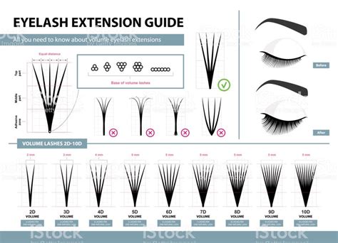 Gu A De Extensi N De Pesta As Extensiones De Pesta As De Volumen D