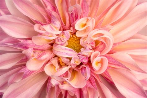 Anne Belmont Photography The Magic Of Lensbaby Lenses