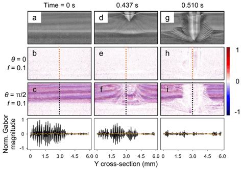 selective gabor kernel filtering of electrode texture from the download scientific diagram