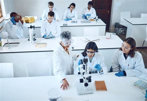 Que Se Puede Estudiar Con Bachillerato De Ciencias Naturales Escuela