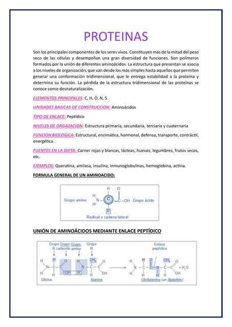 Proteinas Erica Af Udocz