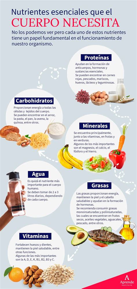 Tipos de nutrientes por qué y cuáles necesitas Aprende Institute