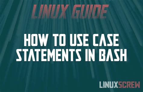 How To Use The Bash Case Statement With Examples