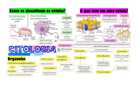 Citologia é o ramo da biologia que estuda as células sejam elas