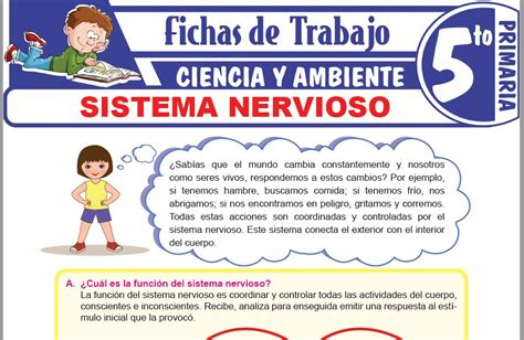 Ciencia Y Ambiente Para Quinto De Primaria Fichas De Trabajo