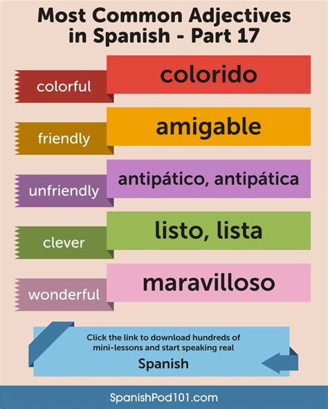 The Different Types Of French Words Are Shown In This Graphic Diagram