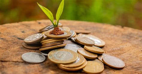 Qual é o rendimento da poupança hoje em 2023 Confira o cálculo e se