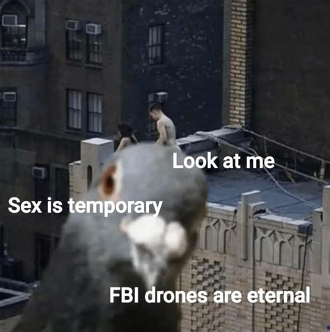 Look At Me Sex Is Temporary Fbi Drones Are Eternal Ifunny