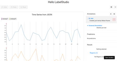 Label Studio Examples Codesandbox