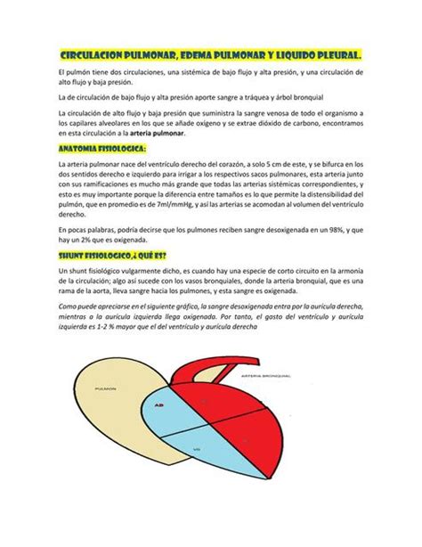 Resúmenes de Edema pulmonar Descarga apuntes de Edema pulmonar