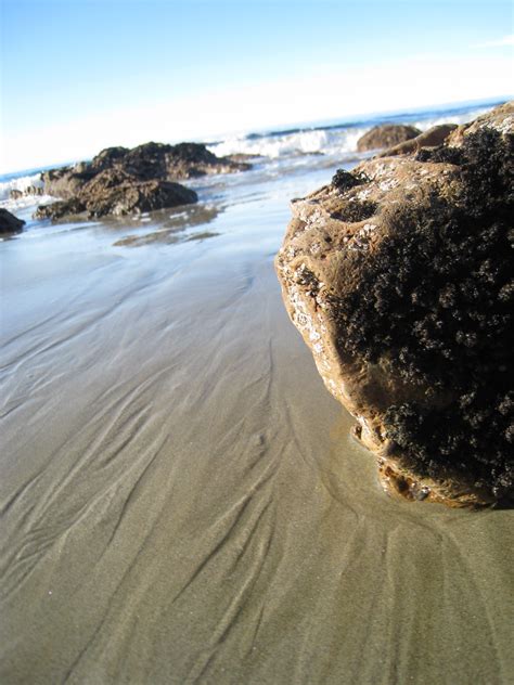 Free Images Beach Sea Coast Sand Rock Ocean Shore Cliff Bay