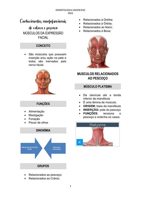 Solution M Sculos Da Face Studypool