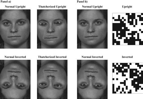 Modulating Perceptual Learning Indexed By The Face Inversion Effect