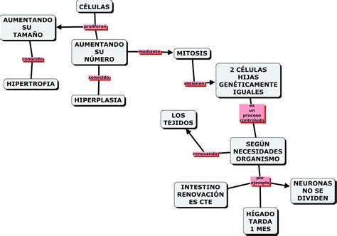 Mapas Conceptuales Mind Maps Y Science Experiments Mapas Mapa The