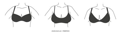 Different Types Bras Collection Lingerie Vector Stock Vector Royalty