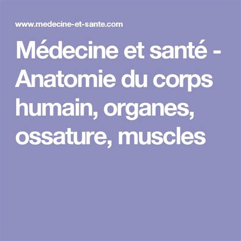 M Decine Et Sant Anatomie Du Corps Humain Organes Ossature