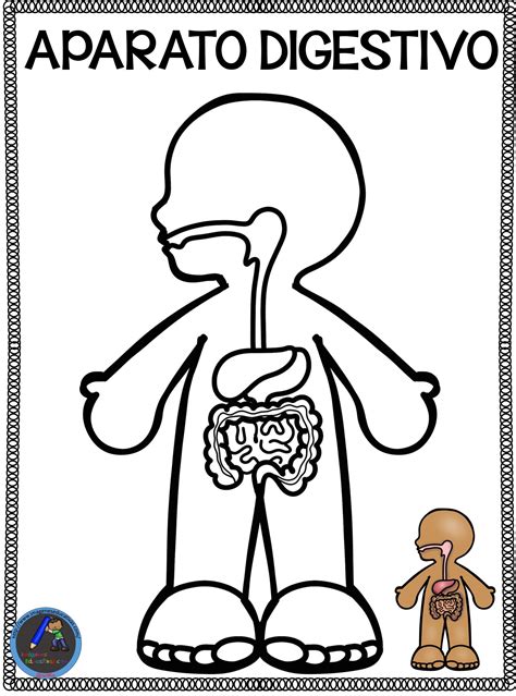 Cuaderno Para Colorear El Cuerpo Humano Imagenes Educativas