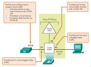 VLANs In A Multiswitched Environment 3 1 2 Cisco Networking Academy