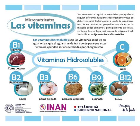 Las Vitaminas Hidrosolubles INAN