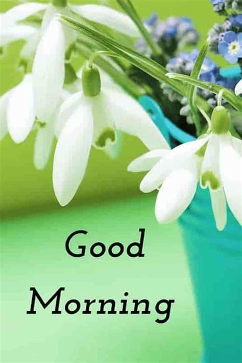45 Good Morning Quotes Images To Make Your Happiest Day FunZumo