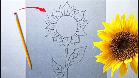 Como Dibujar Un Girasol Facil A Lapiz Off