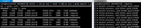 【linux进程】进程的基本概念 {pcb结构体，进程表，linux中的task struct，查看进程，获取进程pid，使用fork创建子进程} linux pcb csdn博客